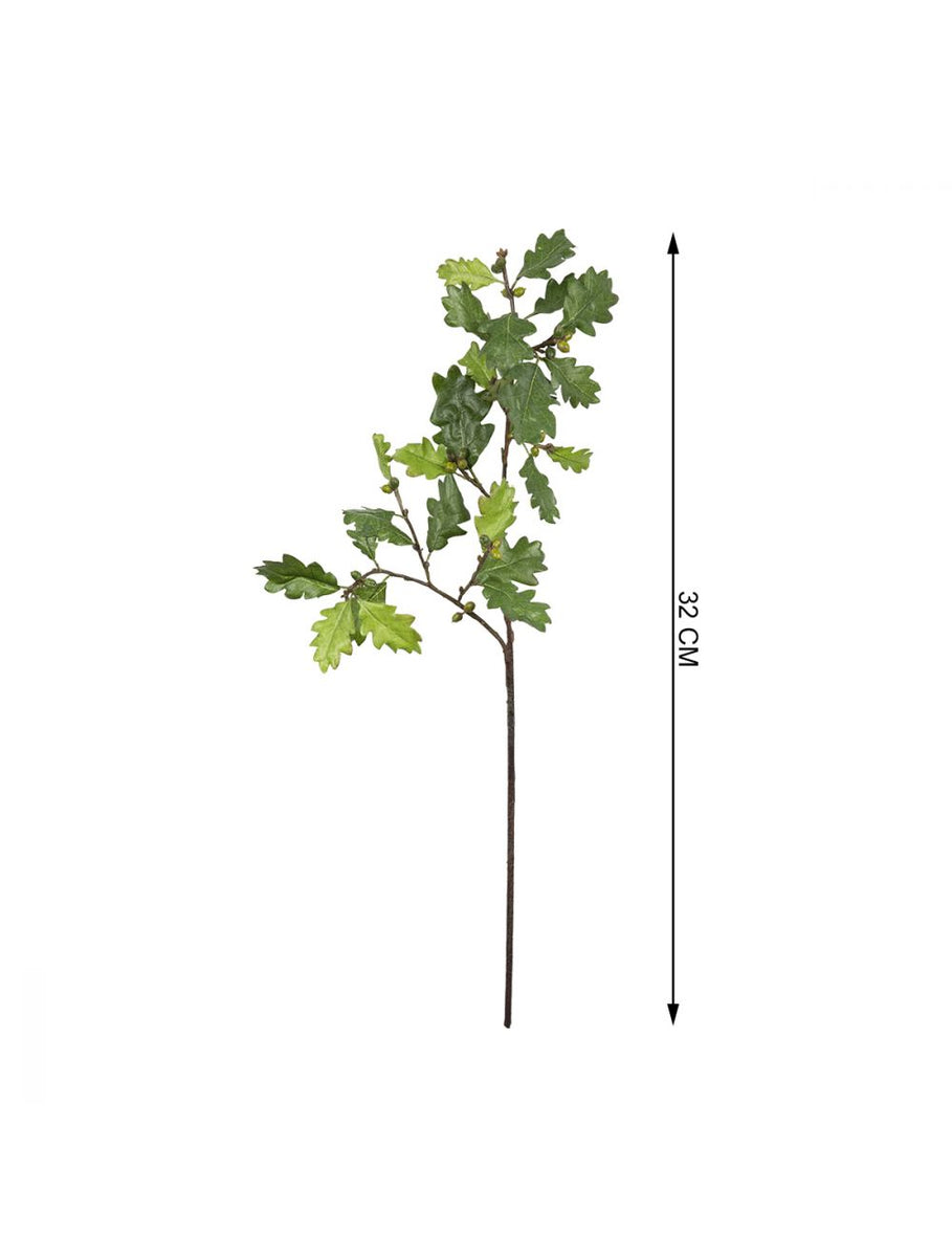 oak leaf stem-Oak Leaf Stem-IAAH