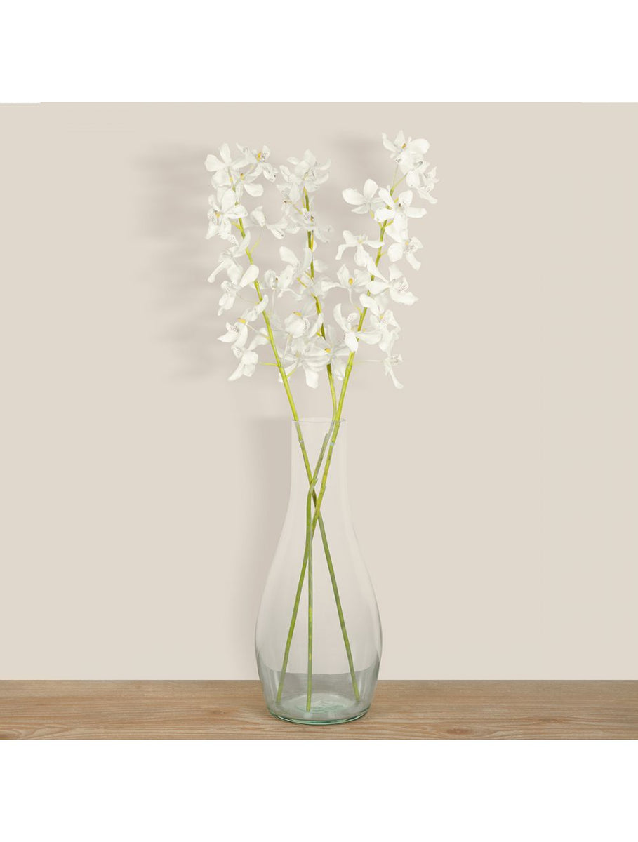 Vanda Orchid: Innocence and Purity in Cream Elegance – IAAH