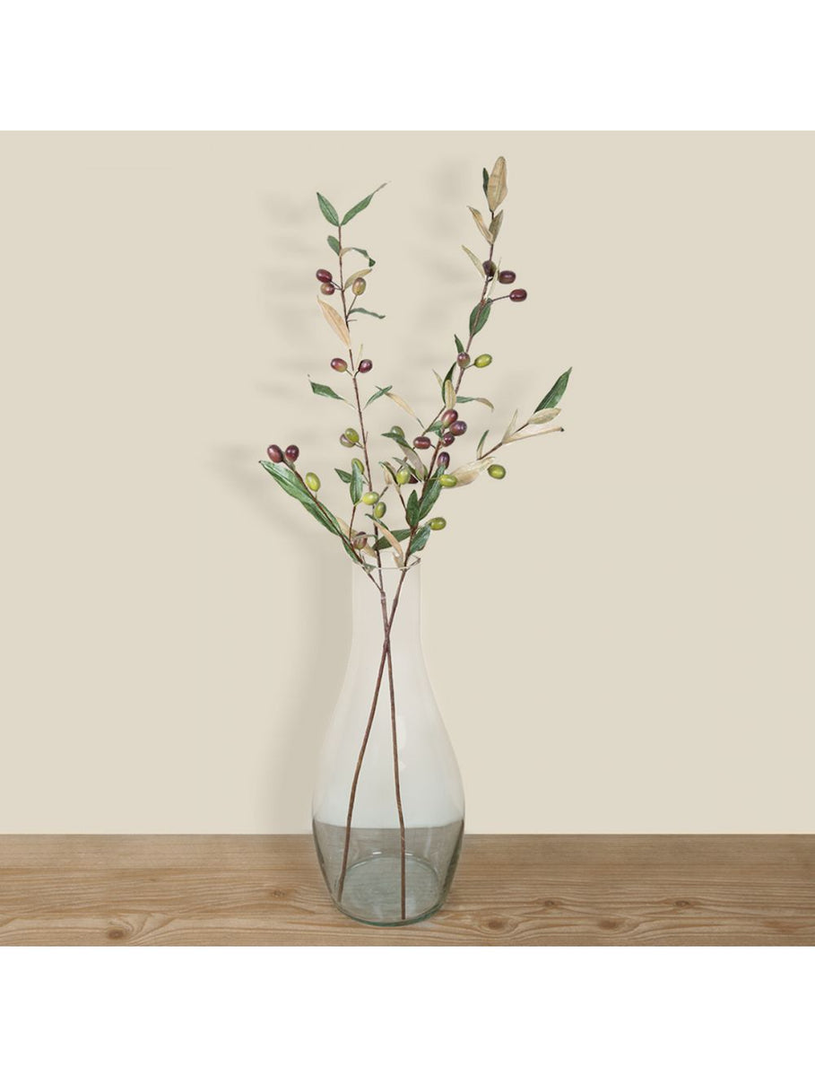 Multi-Color Olive Branch: Symbol of Peace and Freshness – IAAH