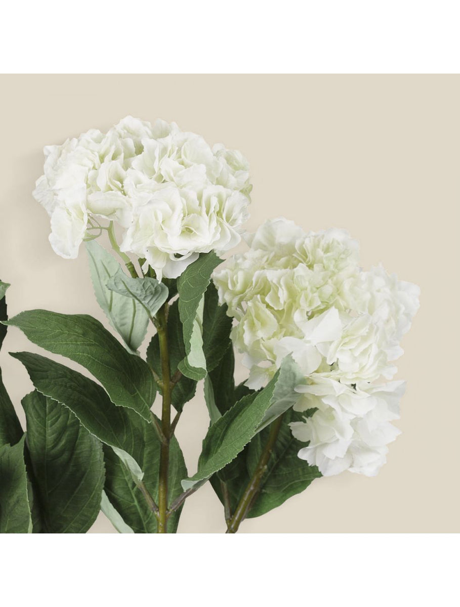 hydrangea branch white-Hydrangea Branch-IAAH
